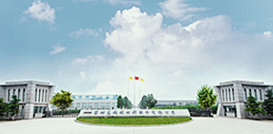 Funik Ultrahard Material Co.,Ltd